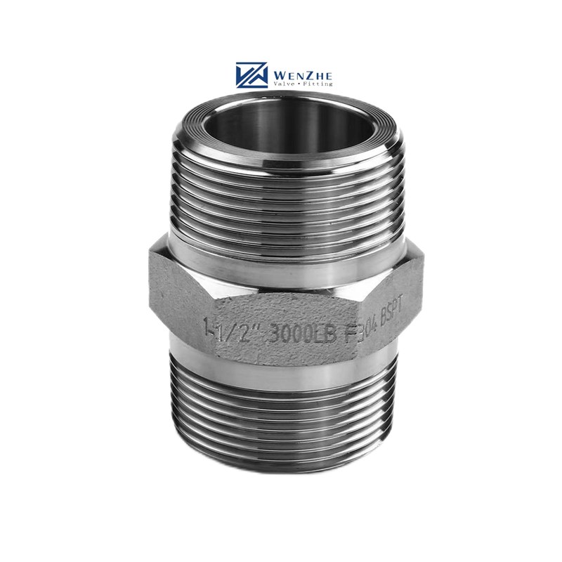 SS304 316 316L High Pressure Forged Hex Nipple 300 bar Male Thread ...